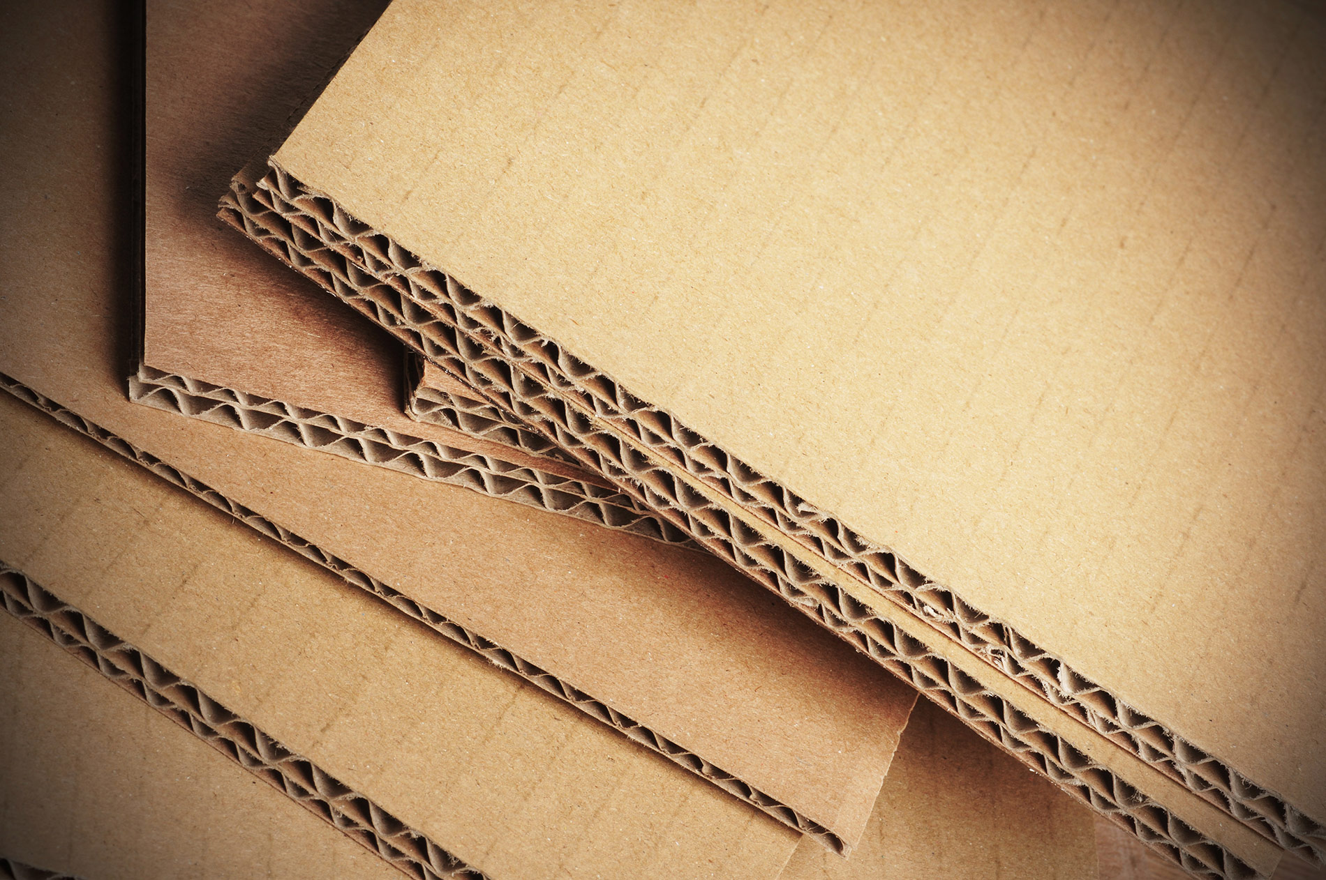 Separator Carton | IFOAM AG | Separatoare Carton